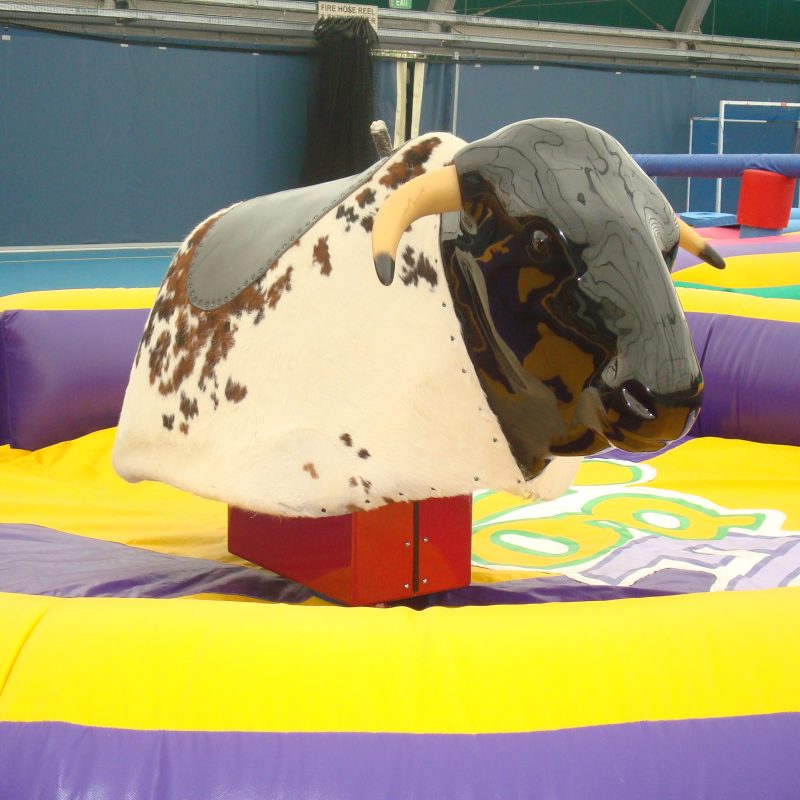 Premium Mechanical Bull Hire | Big Fun