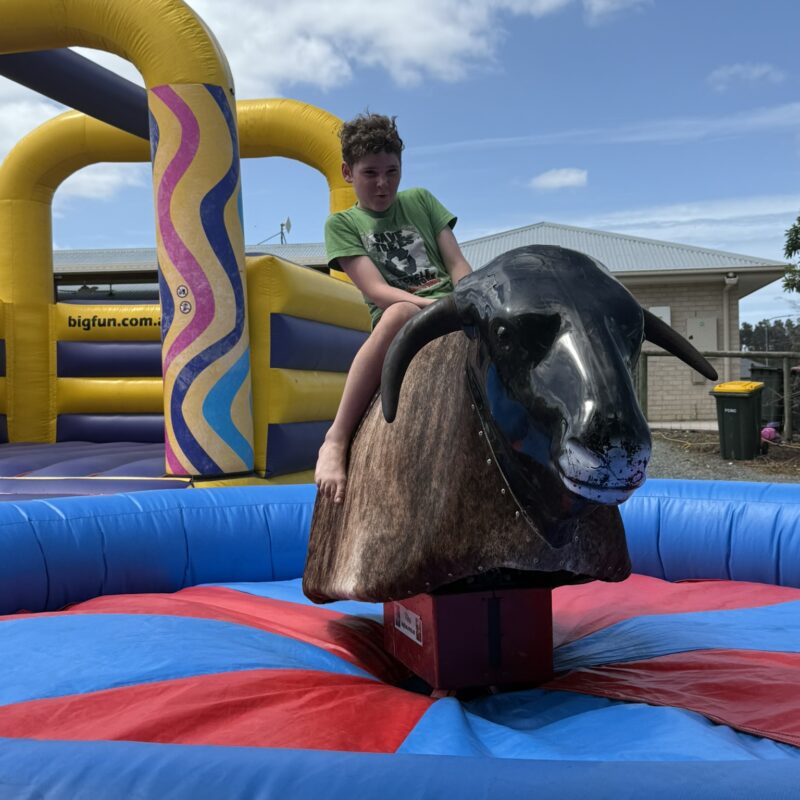Premium Mechanical Bull Hire | Big Fun